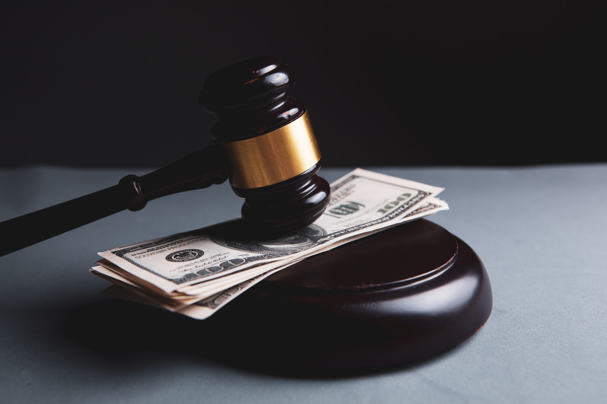 Fighting Legal System Abuse - Voice of America's Insurers